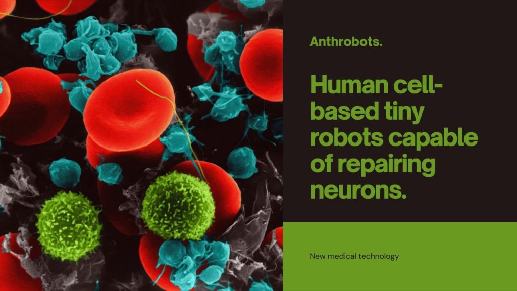 Anthrobots: Tiny Human Cell-Based Biobots with Potential in Healing and ...